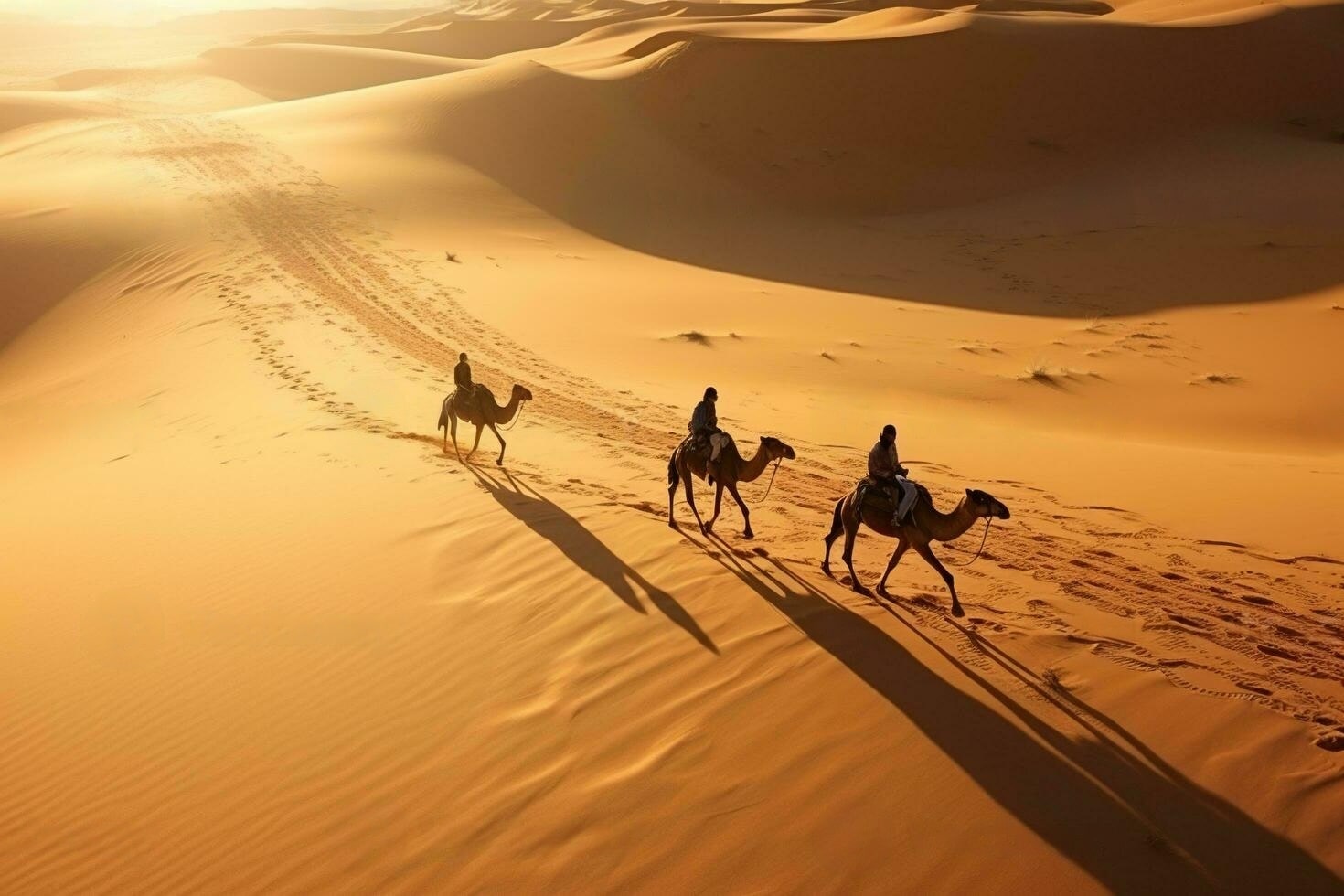 Shiv Tara Desert Camp – Best Desert Safari Camp In Jaisalmer